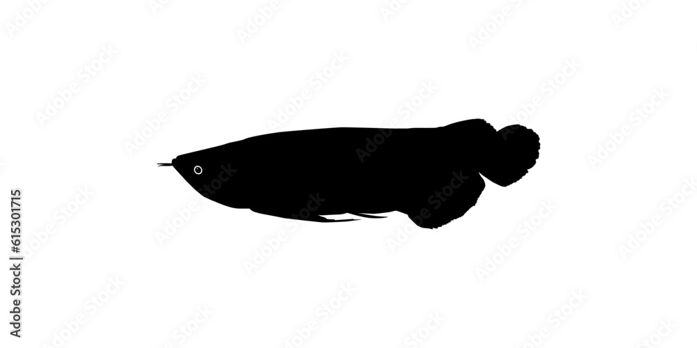 Silhouette of the Arowana or Arwana also known as Dragon Fish, for Art ...