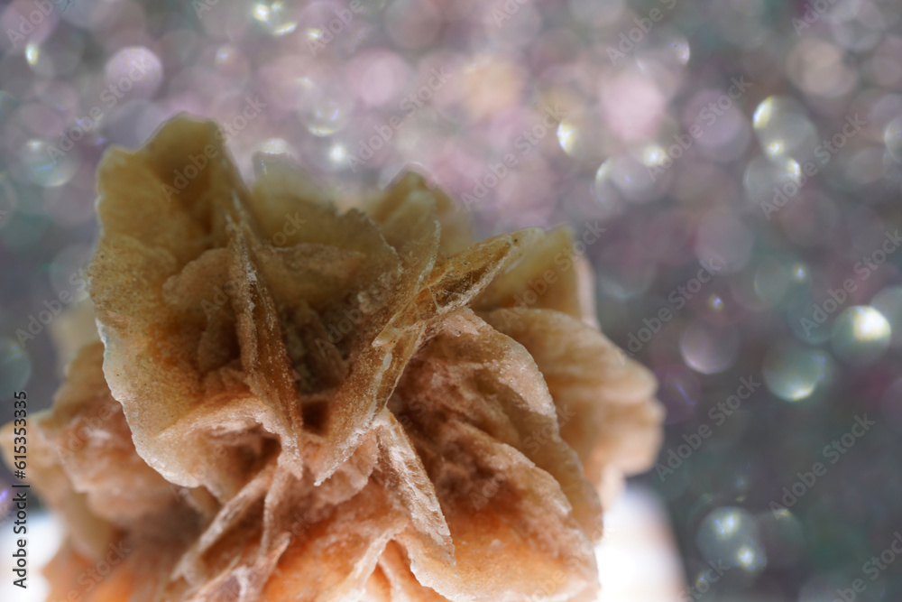 Gypsum rose with a crystal on a cut out background, Crystals resembling ...