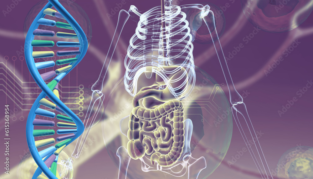 DNA with Human body anatomy on scientific background. 3d illustration ...