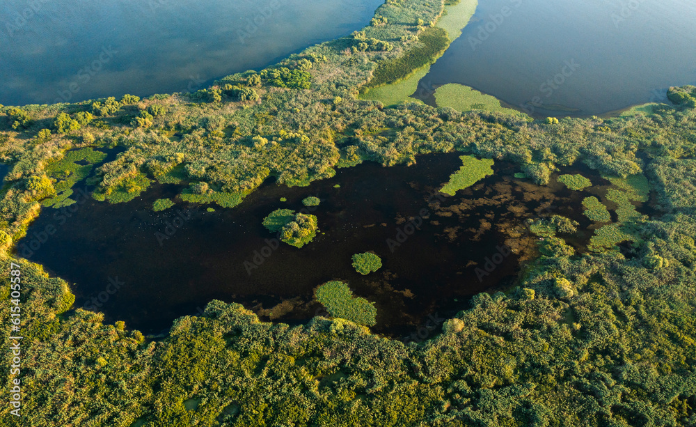 Water river delta green vegetation texture from above. Aerial landscape ...