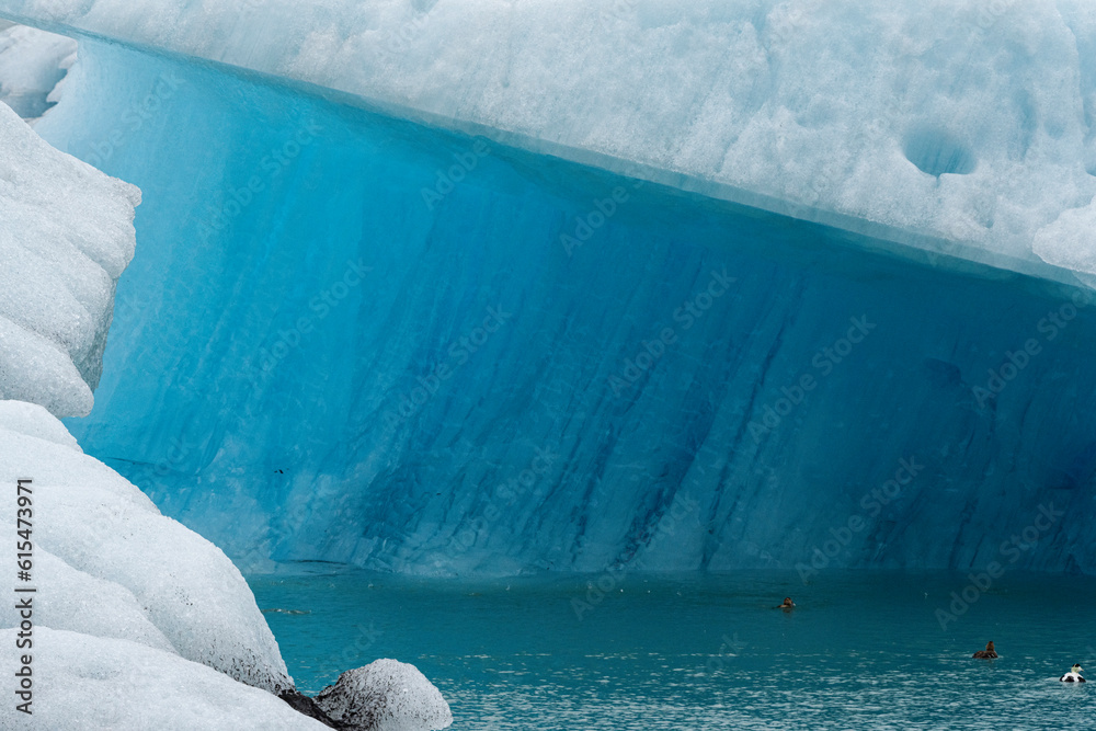 Ducks swim by icebergs and amazing, blue ice shapes of the Jökulsárlón ...