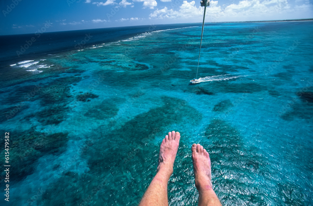 Man's legs and feet suspended above a reef in the Caribbean while ...