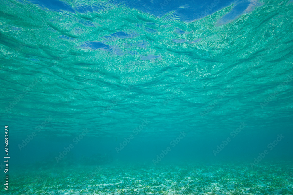 Underwater view of the clear blue ocean water in the Caribbean ...