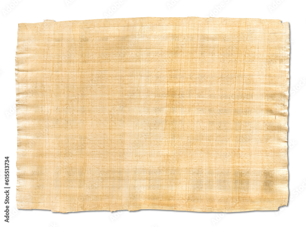 Old papyrus texture isolated on white background Stock Photo | Adobe Stock