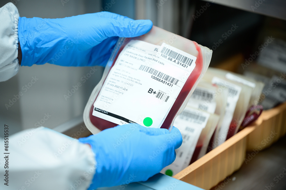 Close up scientist hand holding red blood bag in storage refrigerator ...