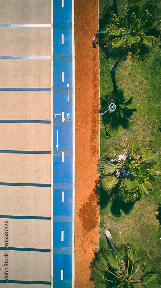 Bike path and walkway on the embankment. Top down aerial view of palm ...
