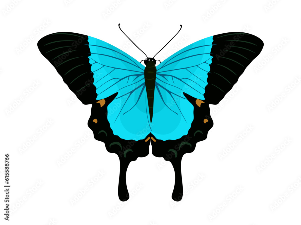 Vector blue butterfly. Exotic beautiful morpho butterfly in flat ...