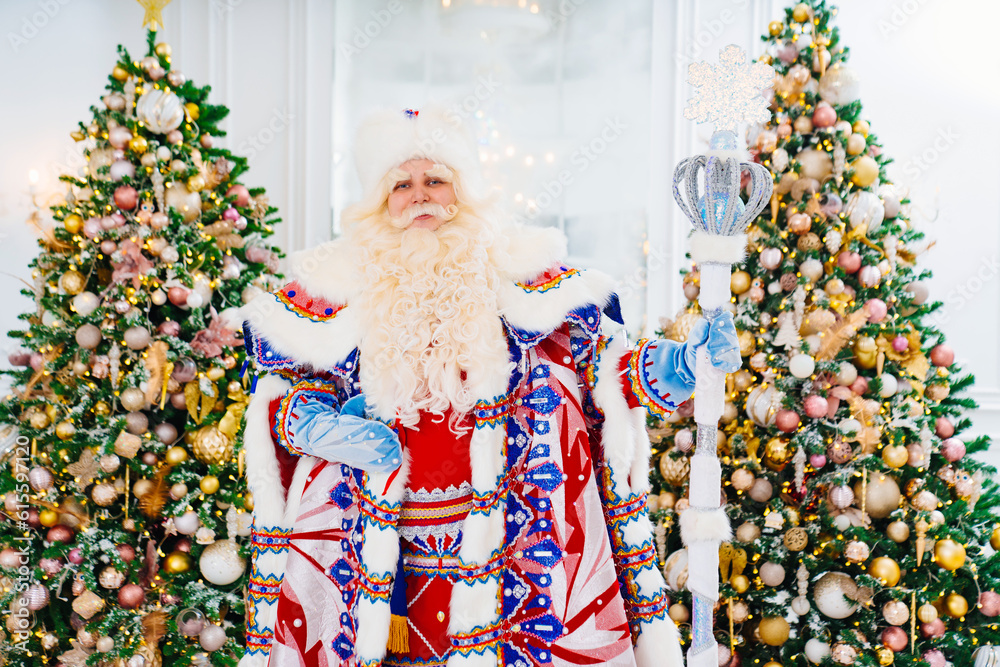 portrait of Father Frost in traditional costume with stick staff. Stock ...