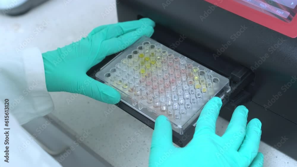 Employing microplate photometers, the scientist engages in the ...