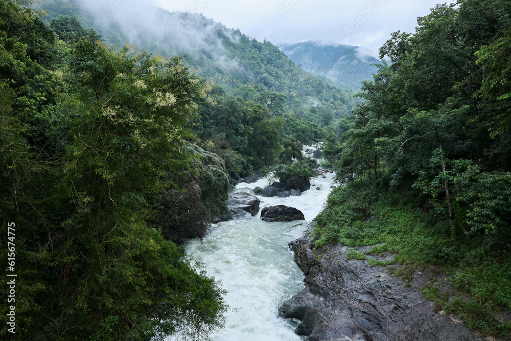Waterfall Gorge with rocky vaults covered with lush foliage plants ...