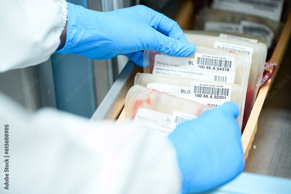 Close up scientist hand holding red blood bag in storage refrigerator ...