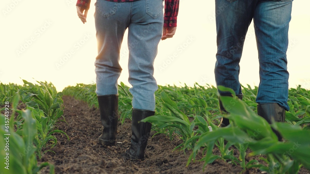 boots feet field, boots walk ground ground soil, agriculture rubber ...