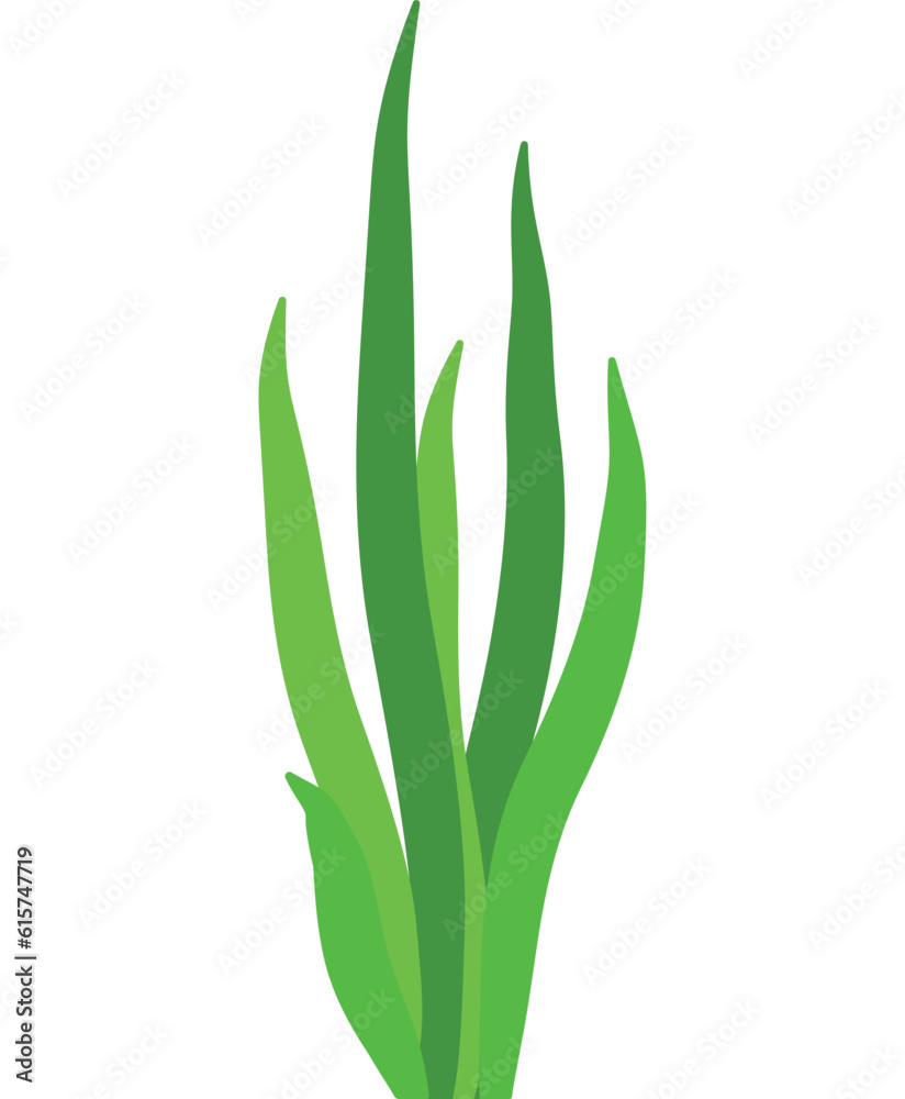 Seaweed for Seascape Ocean View Doodle Cartoon Animated Vector ...