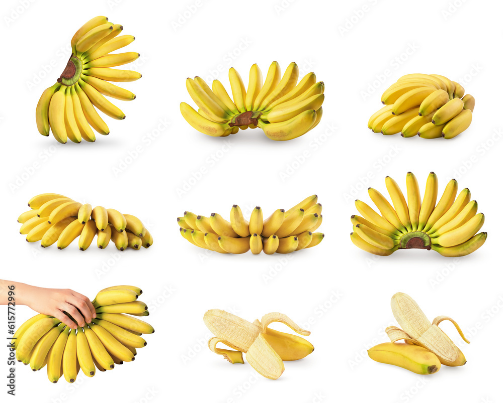 Set of different viewing angles of tropical mini baby banana fruits ...