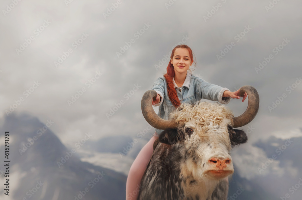 The girl sits astride a big bull, bison, yak. High up in the mountains ...