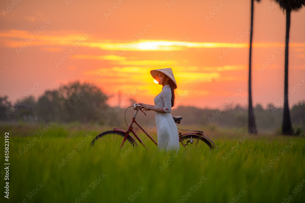 Beautiful Vietnamese woman wearing traditional dress with flower basket ...