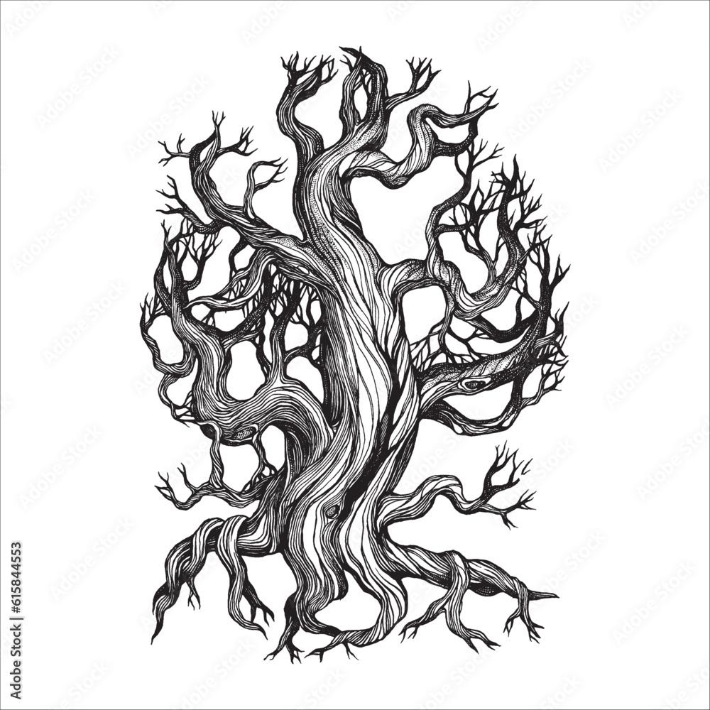 Hand drawn tree illustration, Pine tree, Forest drawing, graphic ...