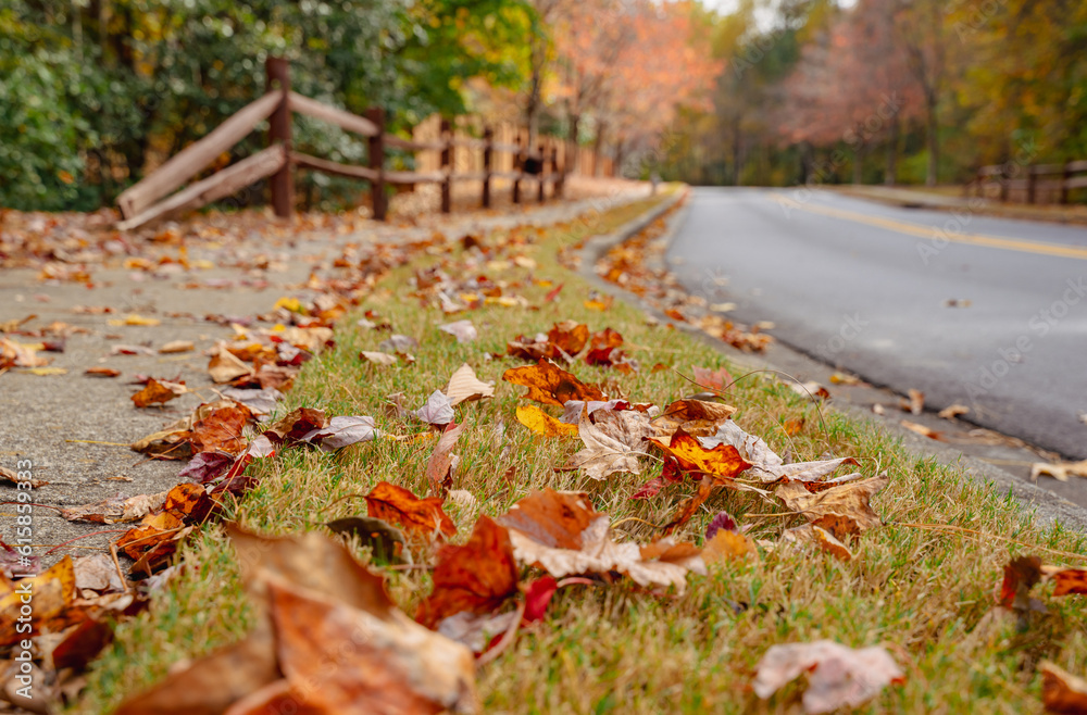 The season of autumn has arrived in the United States. The various leaf ...