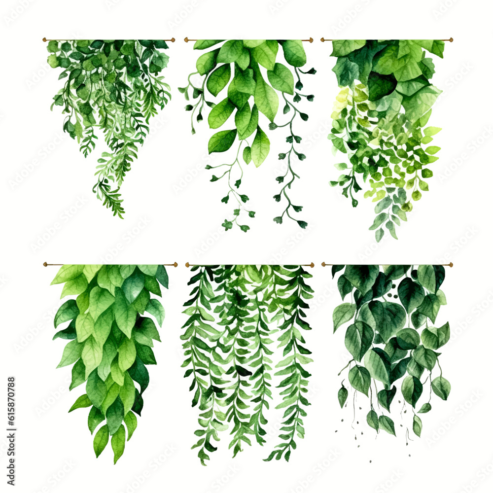Green vine climbing plant with green leaf set, flat vector illustration ...
