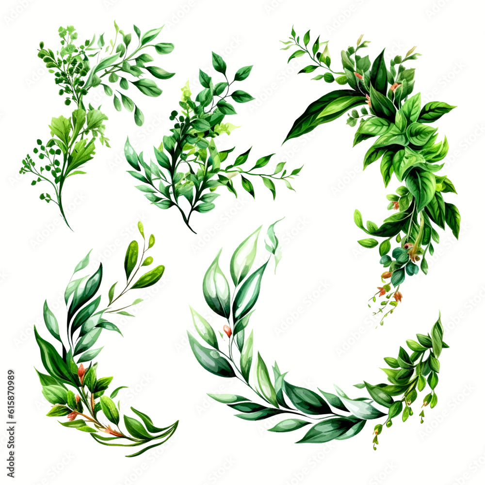 Green vine climbing plant with green leaf set, flat vector illustration ...