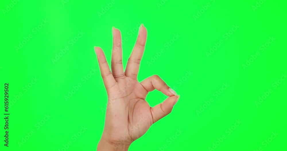 Vidéo Stock Woman, hands and okay sign on green screen for perfect ...