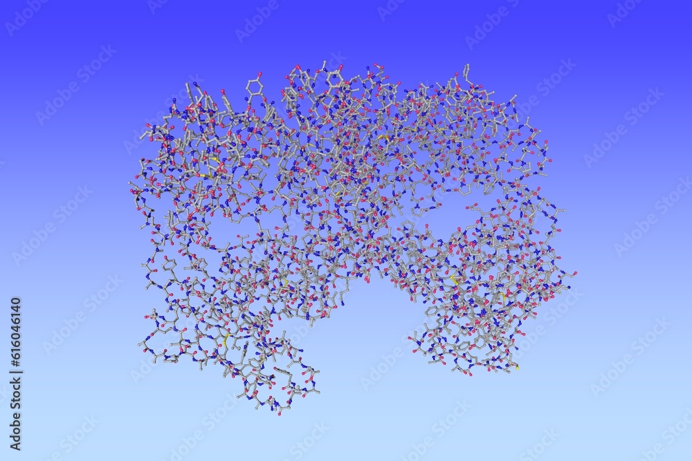 Structure of Herceptin Fab without antigen. Molecular model on blue ...