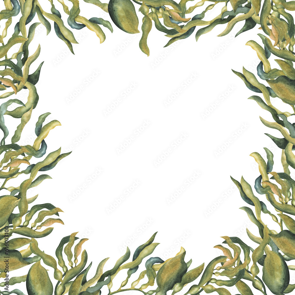 Square Frame of seaweed, coral and shells. Hand-drawn watercolor ...