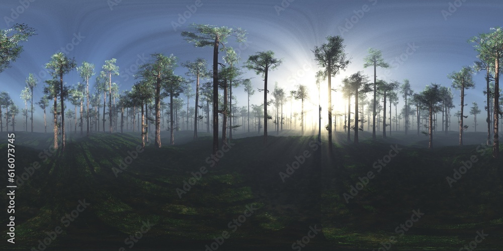 Trees in the fog. Environment map. HDRI map. equidistant projection ...