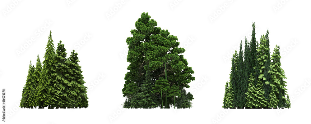 group of trees isolated on a transparent background, forest, sketch ...