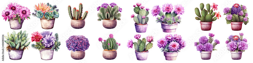 Watercolor set of purple cactus flowers clip art illustration ...