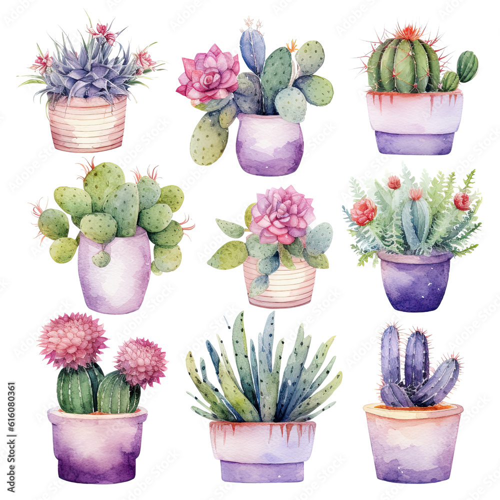 Watercolor purple cactus flowers clip art illustration transparent ...