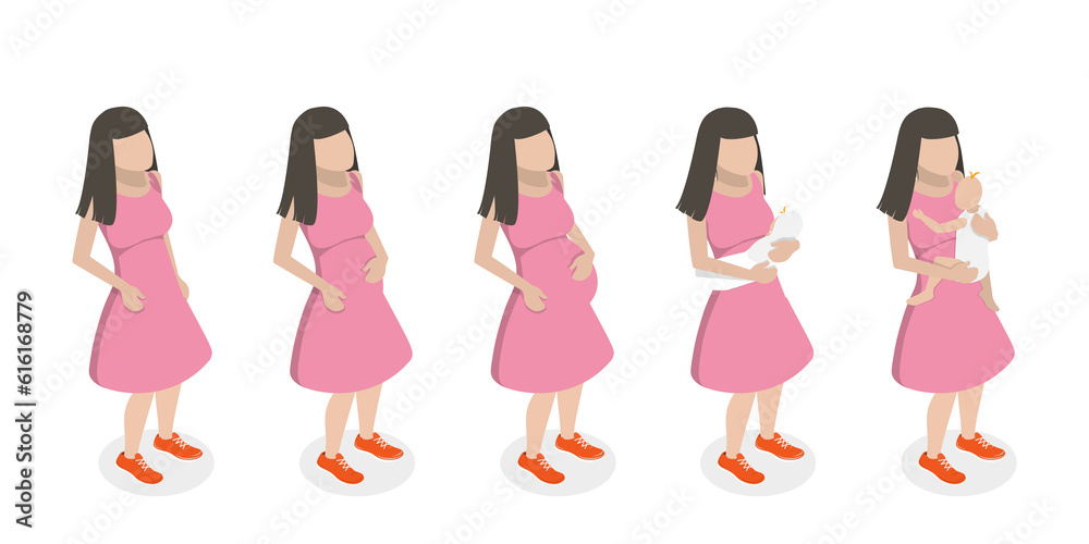 3D Isometric Flat Conceptual Illustration of Stages Of Pregnancy Stock ...