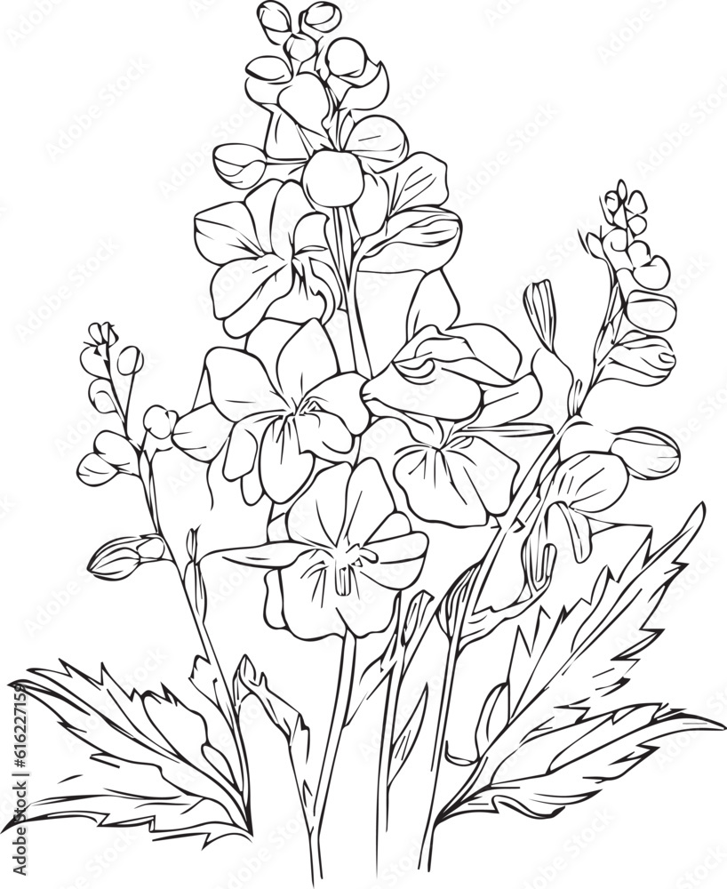 light blue delphinium wedding bouquet, July Birth Flower Larkspur ...