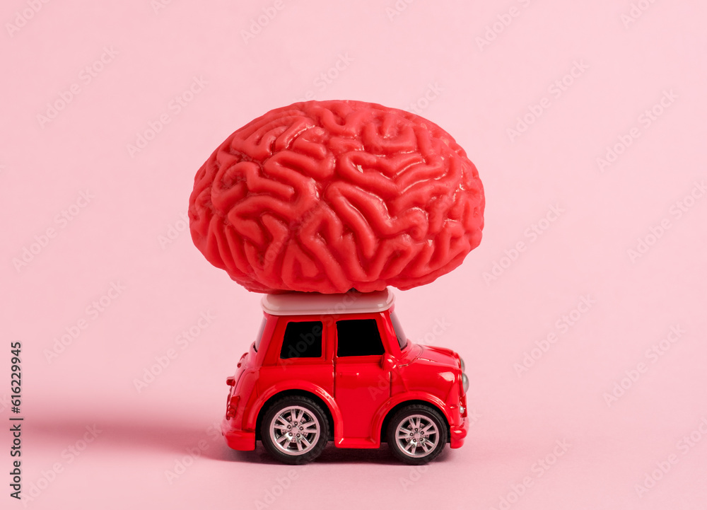 Miniature red car carries a model of a human brain on the roof on a ...