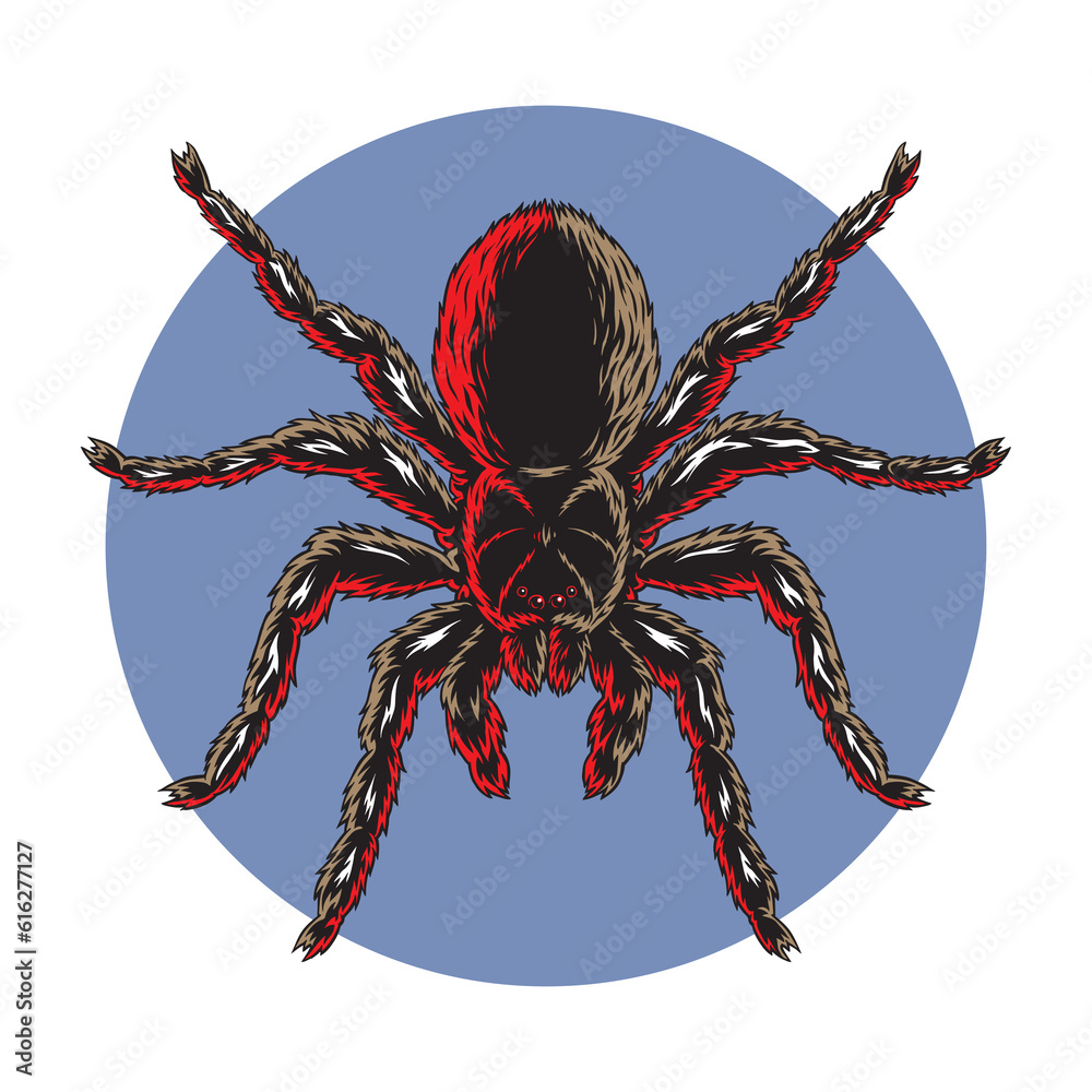 Tarantula spider top view isolated, stylized silhouette mascot vector ...