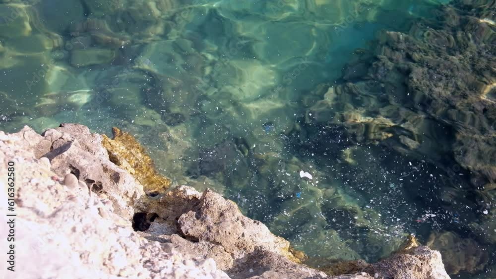 Lots of plastic parts on a sea surface. Mass pollution of ocean ...