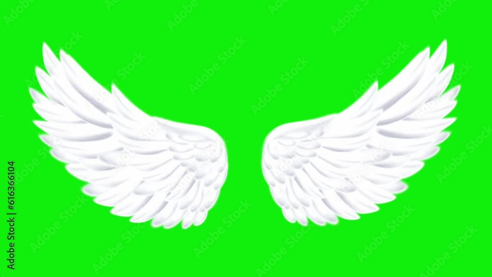 Real Angel wings green screen pack of three video , flying wings green ...