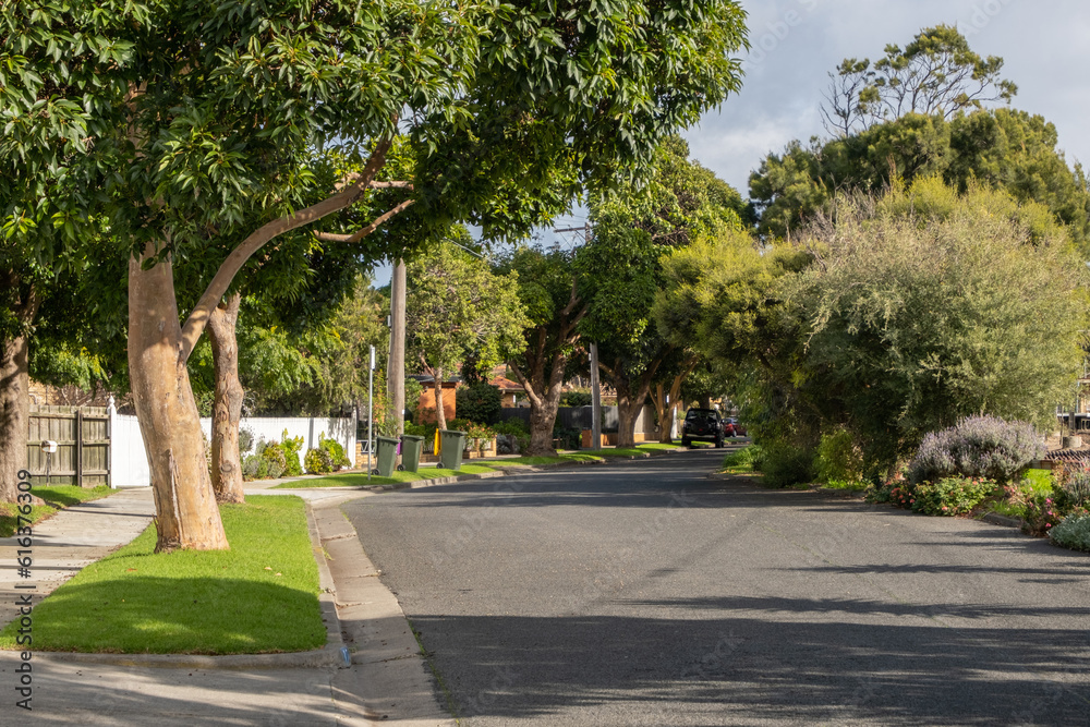 Background texture of a suburban street with beautiful trees and well ...