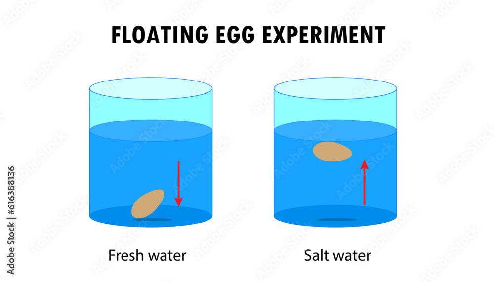 diagram of the floating egg experiment, saltwater and freshwater test ...