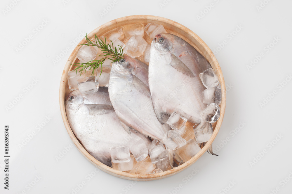 A saltwater fish of the Byeongguidae family. A flat, round fish with a ...