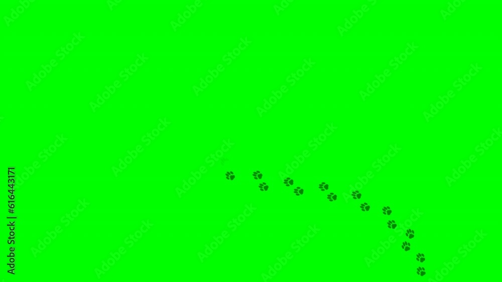 Cat, dog, wolf footprint animation. Pet wild paw. Prints on ground, mud ...
