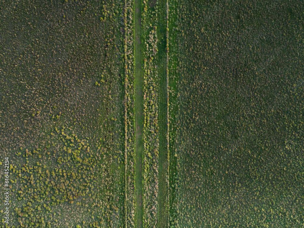 Overhead aerial view of green farm trail through pastoral paddocks ...