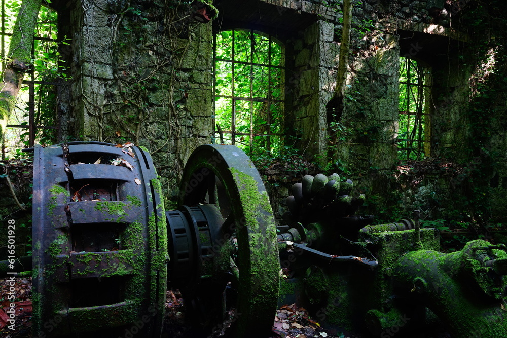 Abandoned hydroelectric power plant hidden in the forest, covered by ...