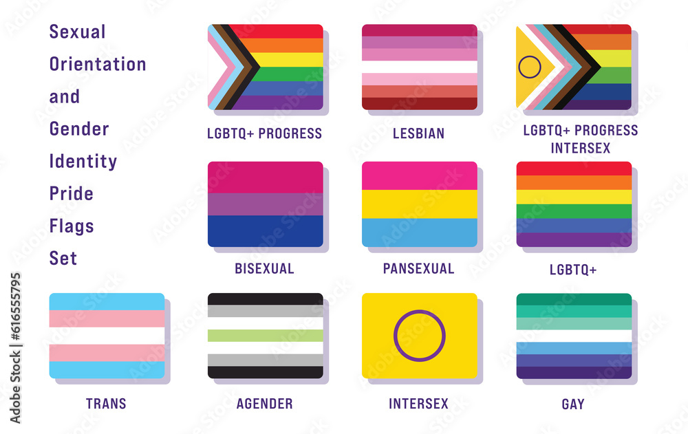 Sexual orientation and gender identity pride flags set Stock ...