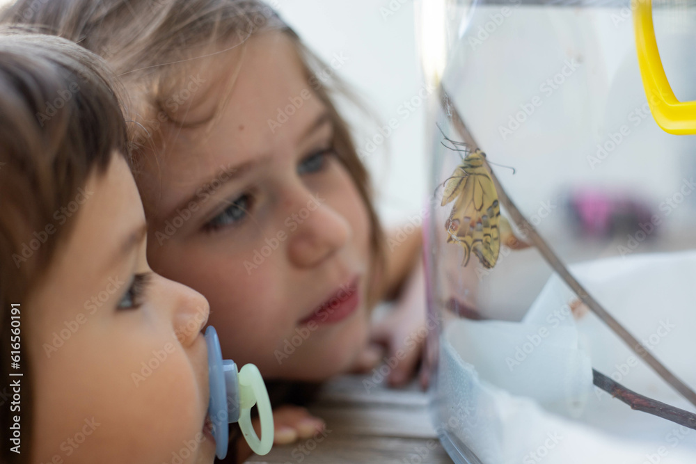 Caucasian children watching a newborn swallowtail butterflies (papilio ...