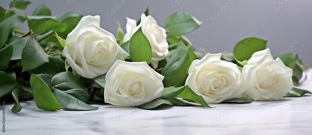 Beautiful white flowers, roses, over marble background. Bouquet of ...