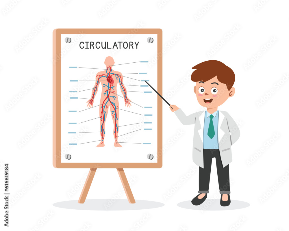 Circulatory system clipart cartoon style. Doctor presenting human ...