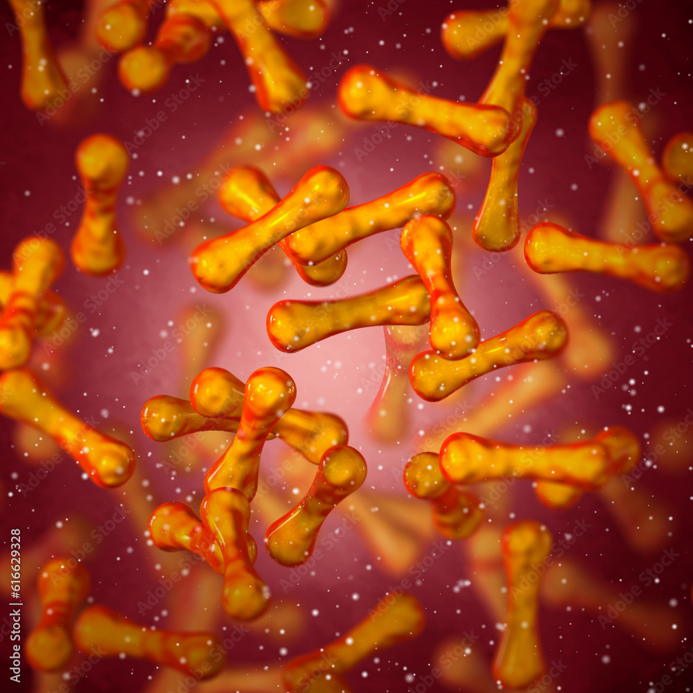 Medical background, Salmonella is a genus of non-spore-bearing rod ...