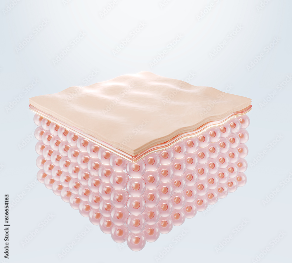 saggy skin or dry skin layer, human skin cells, 3d rendering. Stock ...