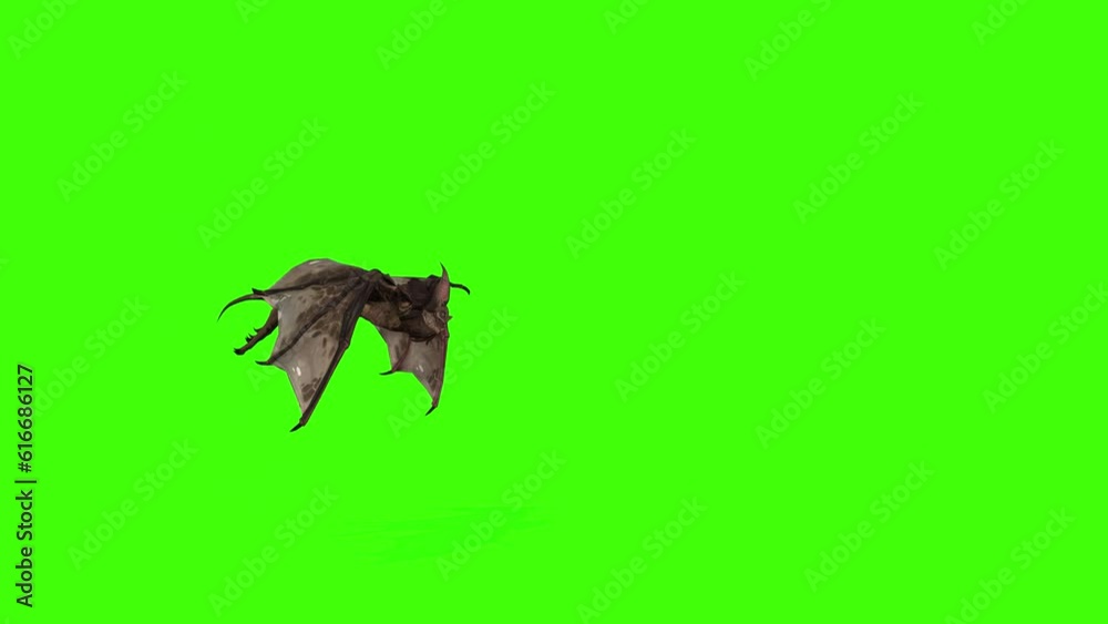 3D Bat is flying with a side view animation on the green screen, black ...